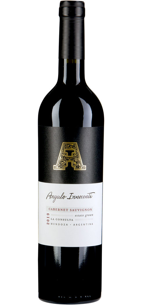 Angulo Innocenti Cabernet Sauvignon 2019 | Good Pair Days UK