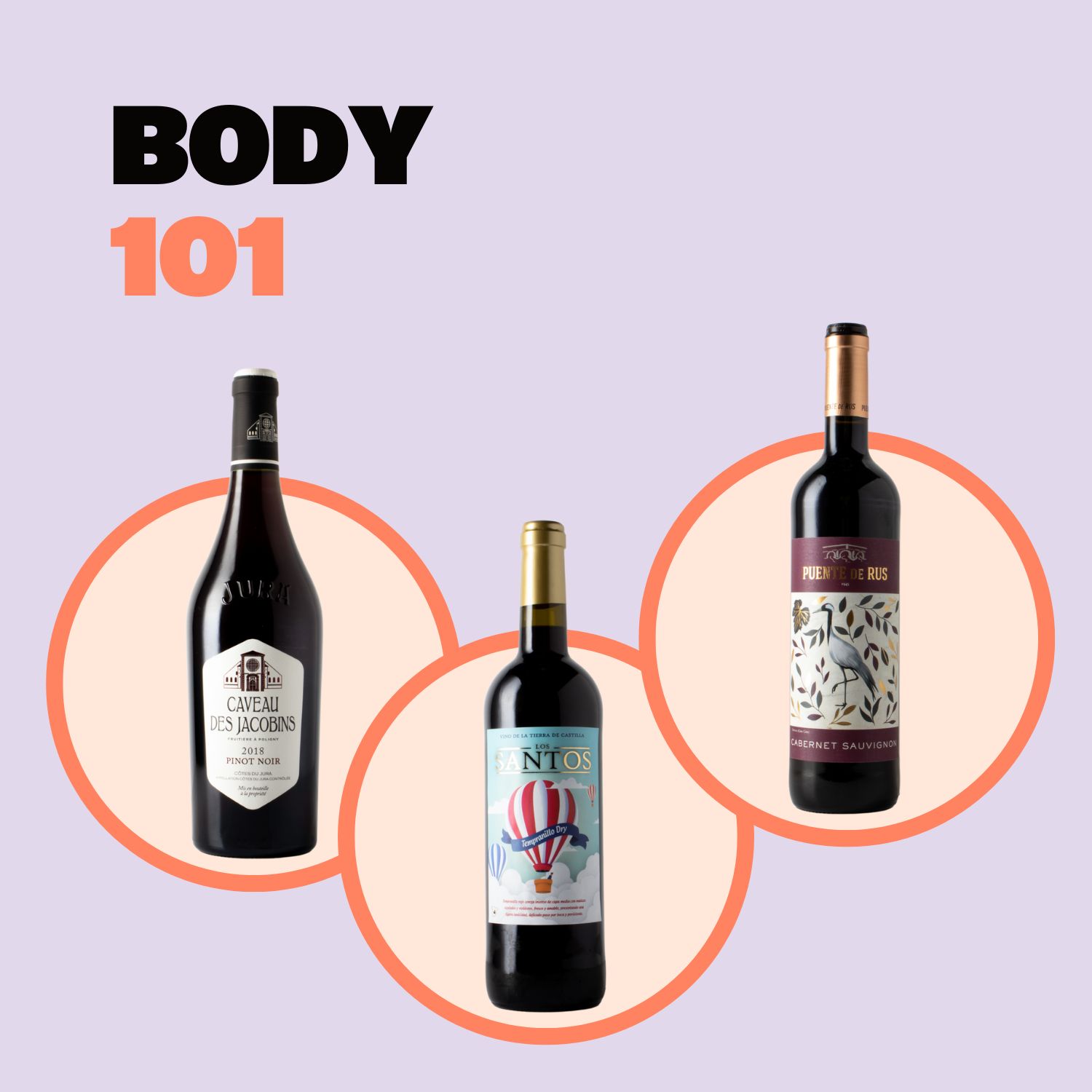 Body 101 - Wine Gift Pack - Good Pair Days | Good Pair Days UK