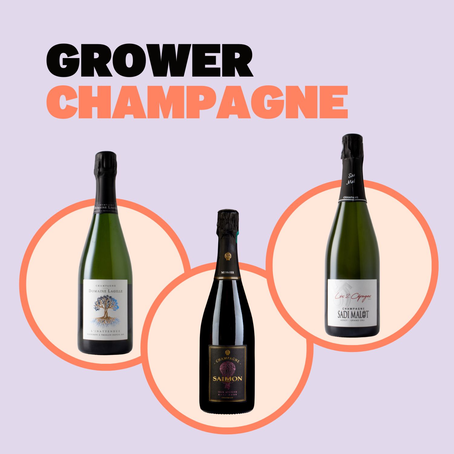 Wine Gift Packs You Won't Find Anywhere Else! | Good Pair Days UK