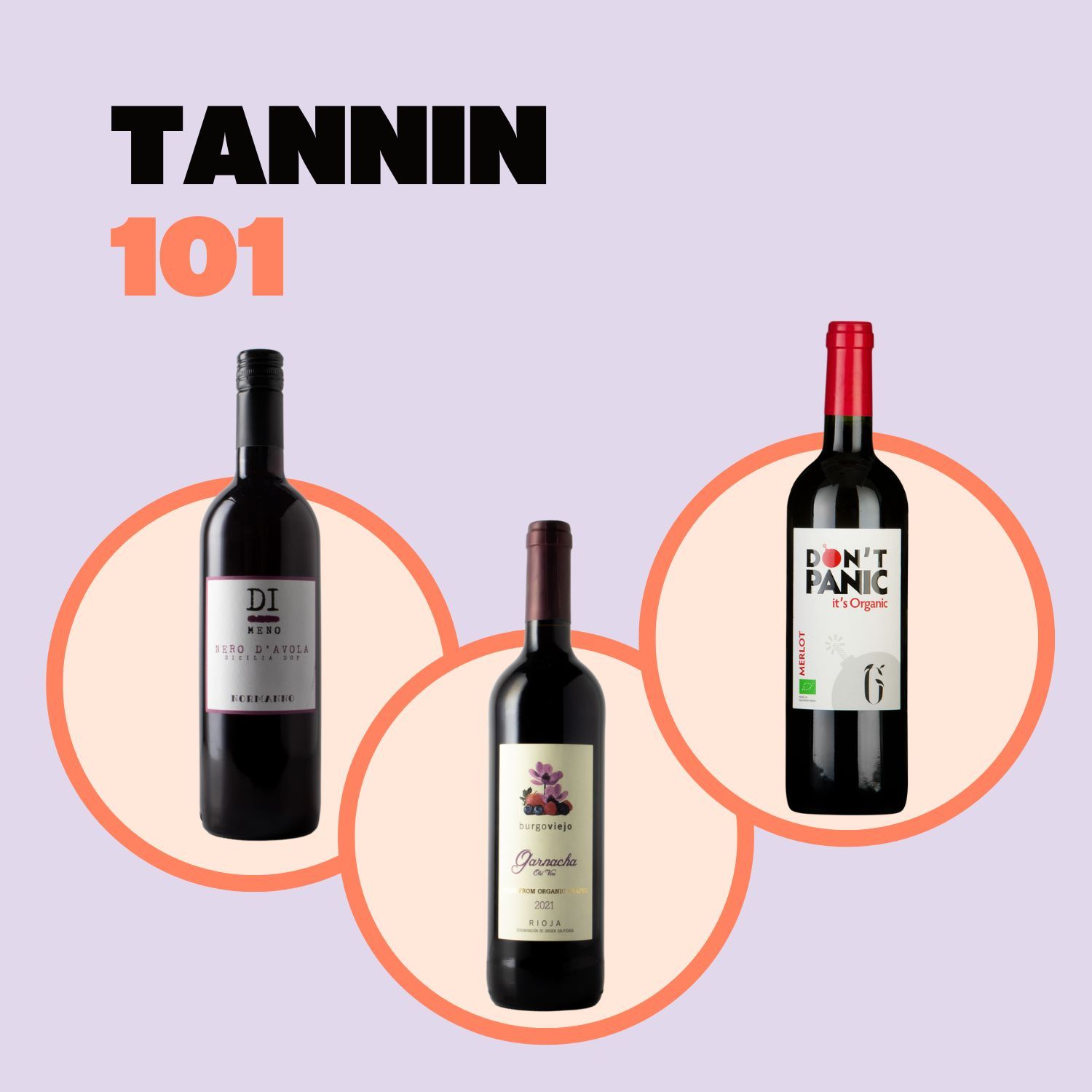 Tannin 101 - Wine Gift Pack - Good Pair Days | Good Pair Days UK
