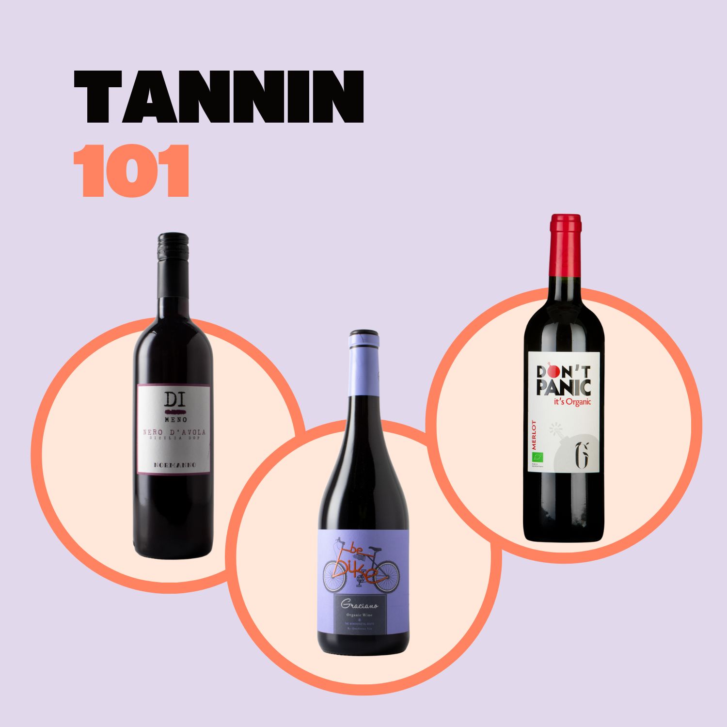 Wine Gift Packs You Won't Find Anywhere Else! | Good Pair Days UK